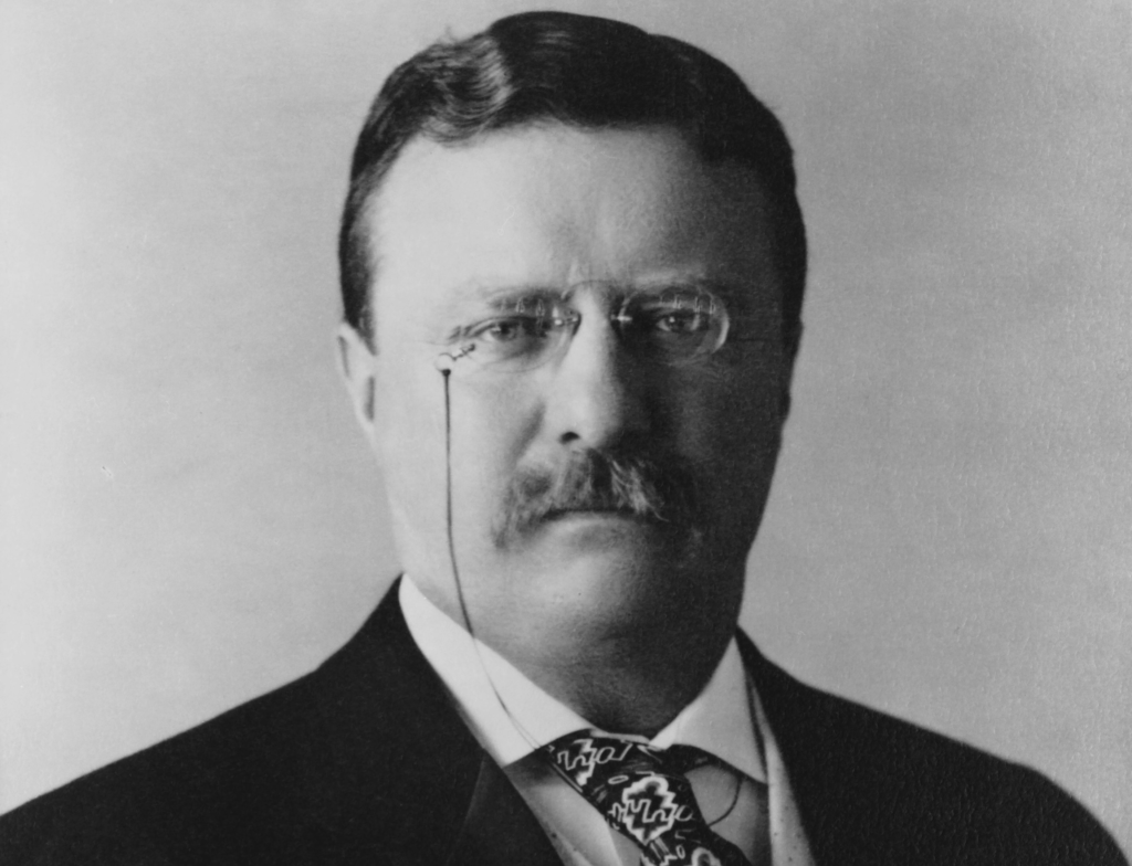 Theodore Roosevelt (1901-1909) - EW