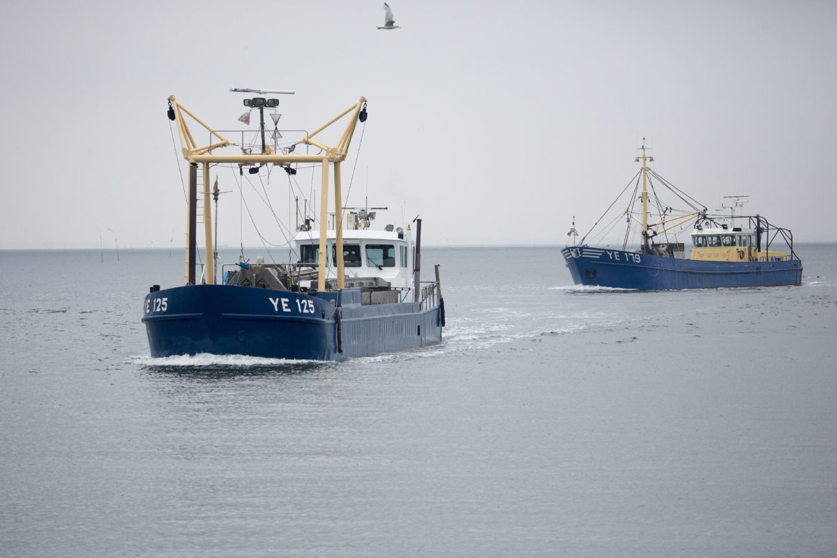 Geef innovatieve vissers een eerlijke kans, schrijft Rob Ramaker