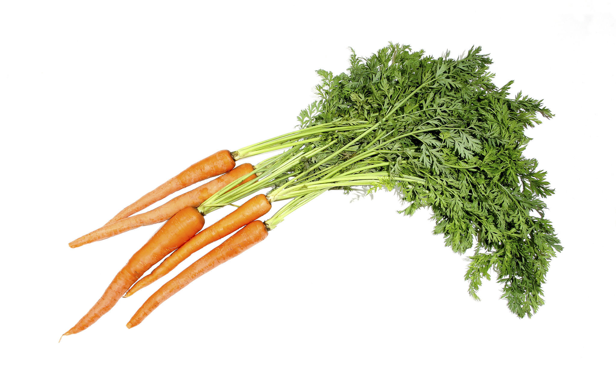 Vergeten groen: wortelloof - EWmagazine.nl