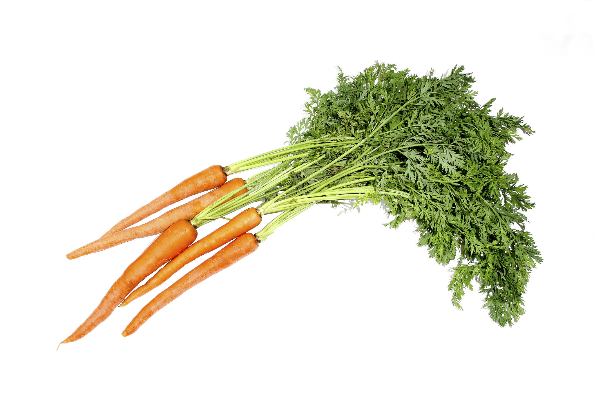 Vergeten groen: wortelloof - EWmagazine.nl