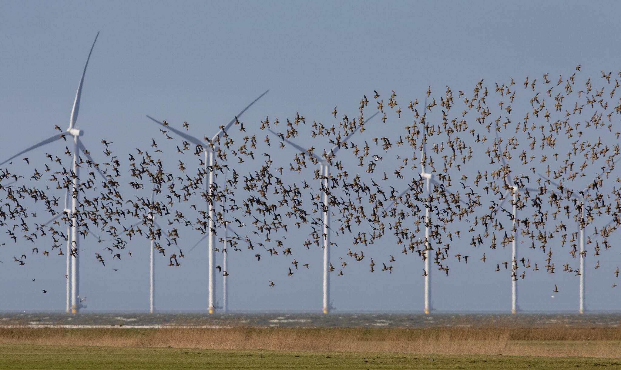 De Warme Golfstroom kent nog veel mysteries - EW